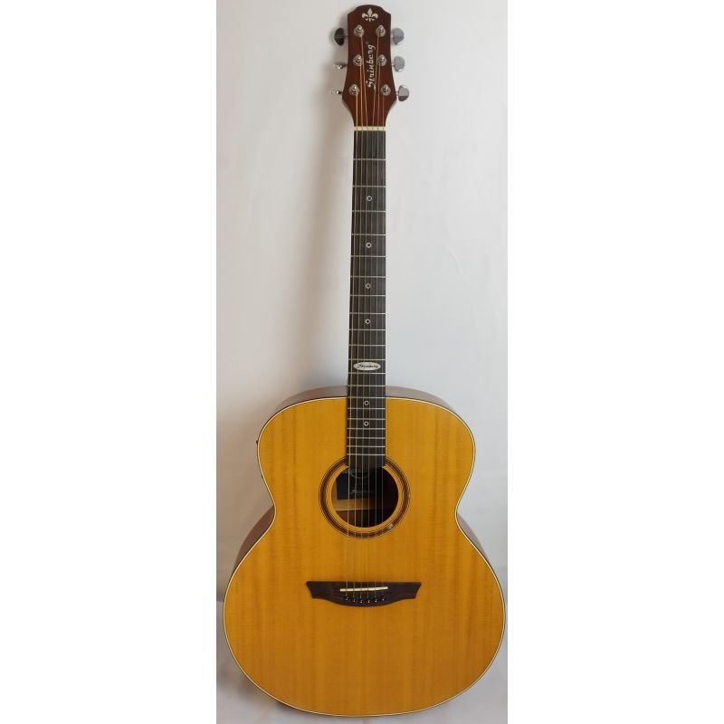 LOJA PRO BAIXO - VIOLÃO STRINBERG SJ200